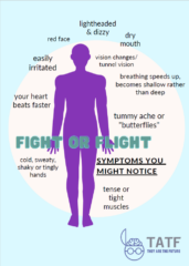 Fight or Flight Worksheet: Free PDF and Guide