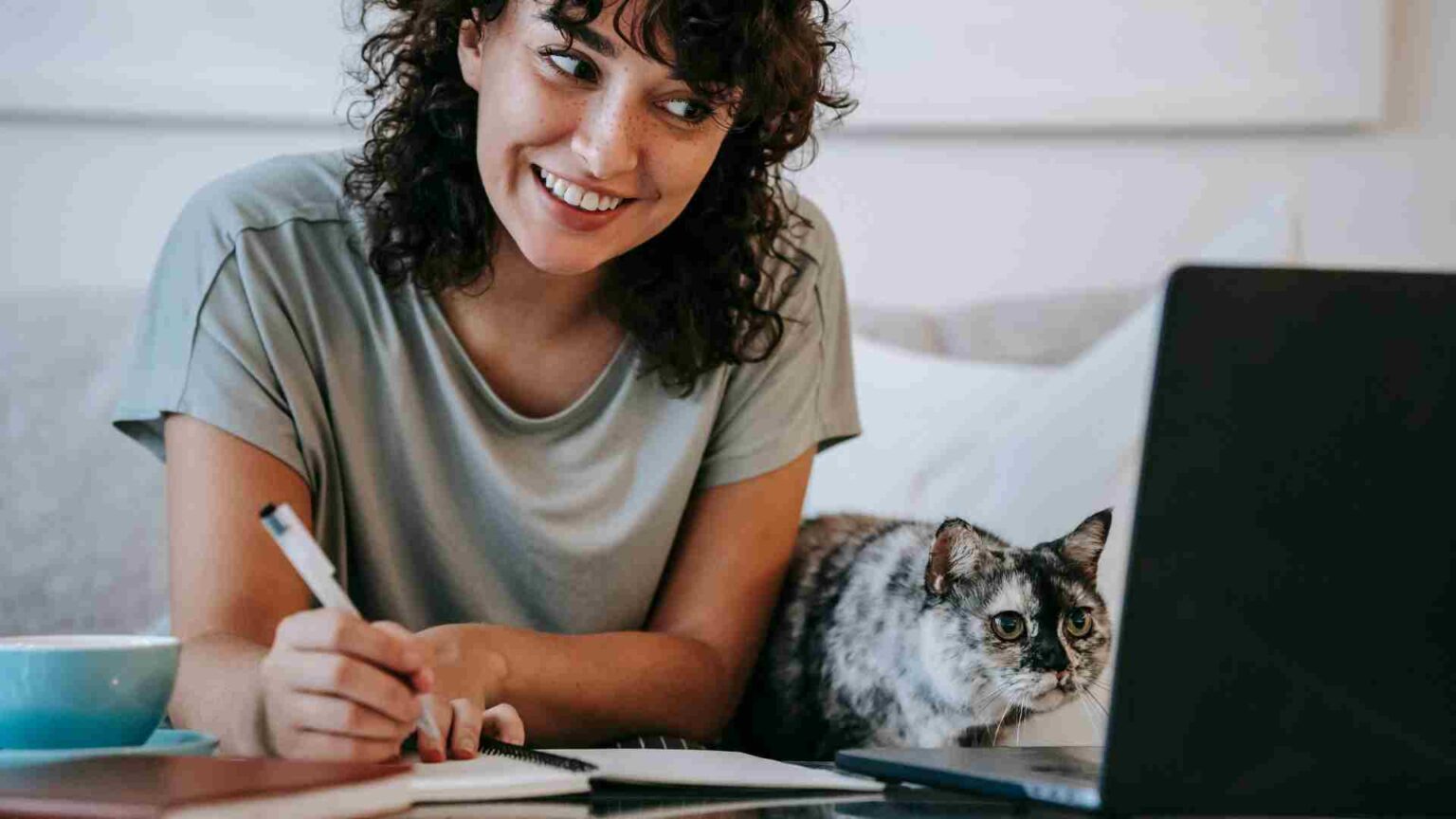 Surviving Homework Struggles: A Compassionate Guide for Parents - They ...