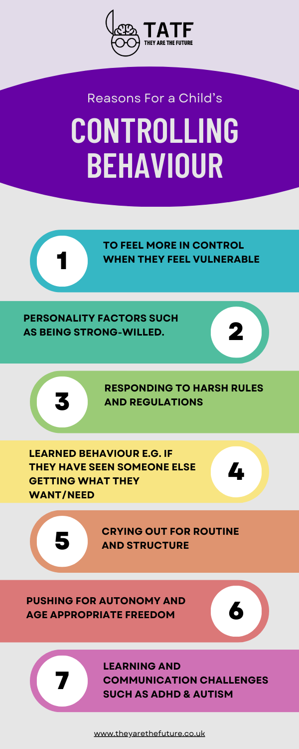 Signs of a Controlling Child (and What to Do as a Parent) - They Are ...