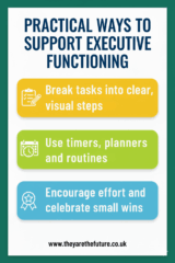 What Is Executive Functioning in Children? A Parent & Teacher Guide ...